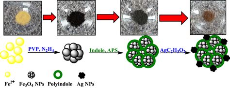 Schematic Representation For The Preparation Of Fe3o4 Pin Ag Composite Download Scientific Diagram