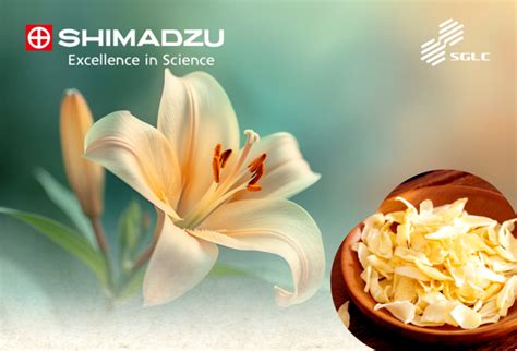 2025年版《中国药典》2341公示稿｜第三法 药材及饮片中二硫代氨基甲酸盐类农药残留量测定法解决方案 知乎