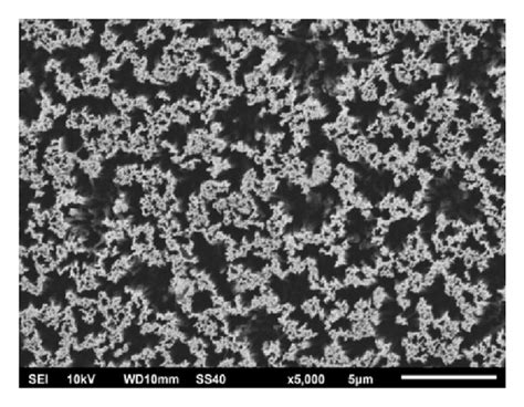 A Surface Morphology And B Cross Sectional Scanning Electron Download Scientific Diagram
