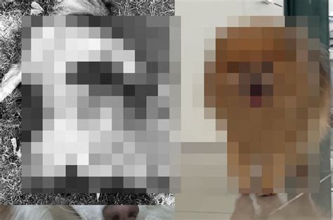 เบื่อเมีย เบื่อเมีย Added A New Photo