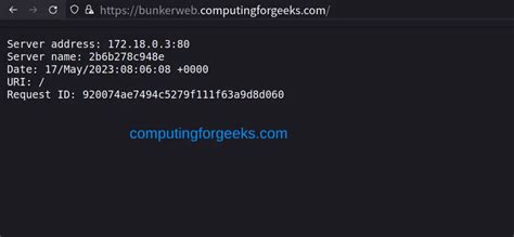 Running Nginx In Docker Container Using BunkerWeb ComputingForGeeks