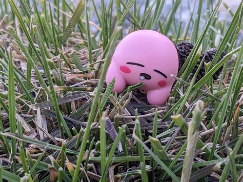 Kirbys Day By The River Aka I Took My Kirby Figures With Me On A Walk R Kirby