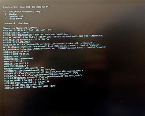 Macos 13 Error Before Installation Rhackintosh