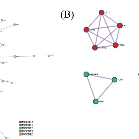 A Proteinprotein Interaction Ppi Network B The Molecular Complex