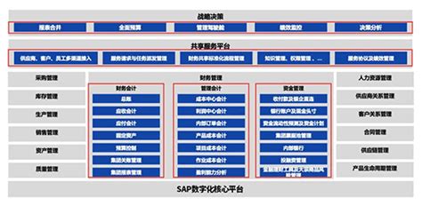 Sap化工行业成功案例：大连联化化学sap Erp系统实施方案