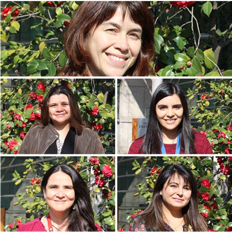 Facultad De Medicina Forma Una Secretar A De Equidad De G Nero Direcci N De Equidad De G Nero