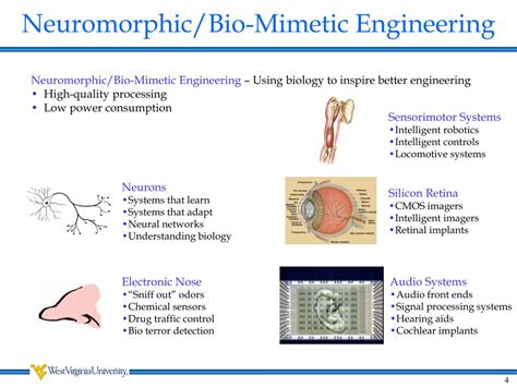 ppt neuromorphic analog vlsi powerpoint presentation free download id 4344587