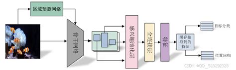 【毕业设计】基于卷积神经网络的观赏鱼分类识别系统 深度学习 目标检测 python 基于卷积神经网络的鱼类品种识别系统 csdn博客