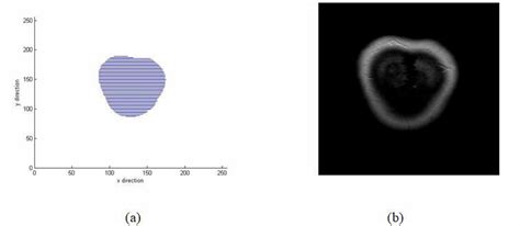 A The Array Of Points Showing Extracted Data From The Ct Scan Download Scientific Diagram