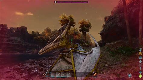 How To Tame The Pteranodon In Ark Survival Ascended Gamepur