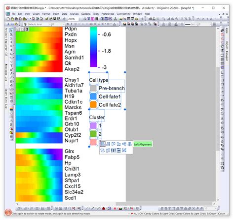 聚类热图分类注释 独门绝技！origin挑战绘制细胞分化轨迹热图 林小摸的博客 Csdn博客