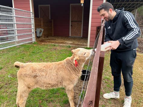 Github Onefact Data Thinking Website Deployed Using Github Pages