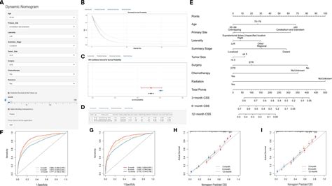 Development And External Validation Of Dual Online Tools For Prognostic Assessment In Elderly