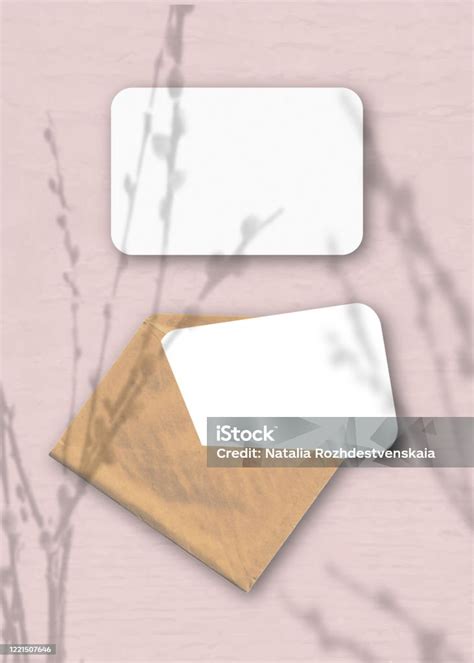 테이블의 분홍색 배경에 텍스처가 있는 흰색 종이 두 장이 있는 봉투입니다 식물 그림자와 모형 오버레이 버드나무 가지에서 그림자를 투사하는 자연광 0명에 대한 스톡 벡터 아트