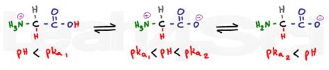 Amino Acid Charge In Zwitterions And Isoelectric Point Mcat Tutorial