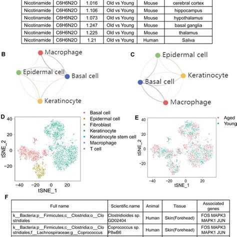 Examples From Functional Annotations Of Antagonistic And Integrative