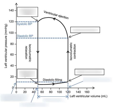 Week 3 Pressure Volume Loop Diagram Quizlet