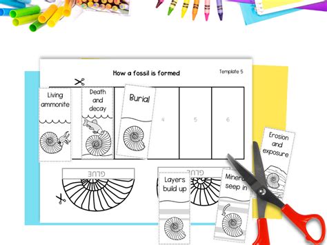 How A Fossil Is Formed Foldable Sequencing Cut And Paste Activity Ks2