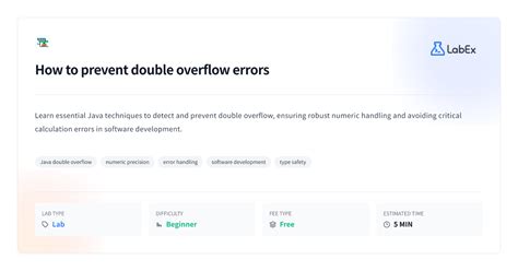 How To Prevent Double Overflow Errors Labex