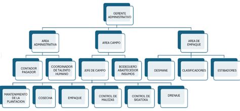 Estructura Funcional Download Scientific Diagram