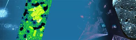 on line process libs quantum rx