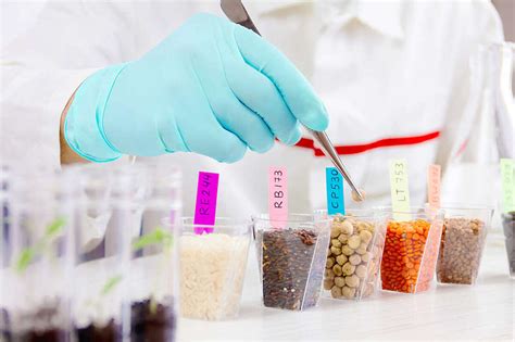 Some Bioengineered Food Contain Genetically Modified Organisms Gmo Latest Trending Reports