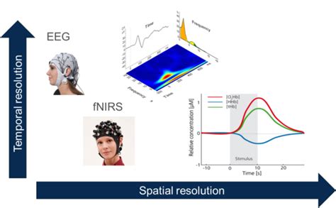 Eeg Fnirs Cookbook Brain Products Gmbh