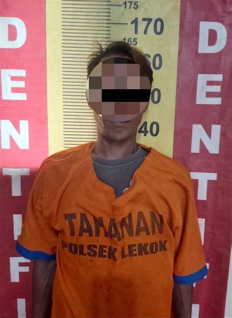 Seorang Pria Di Lekok Tega Perkosa Adik Ipar Hingga Hamil Wartabromo