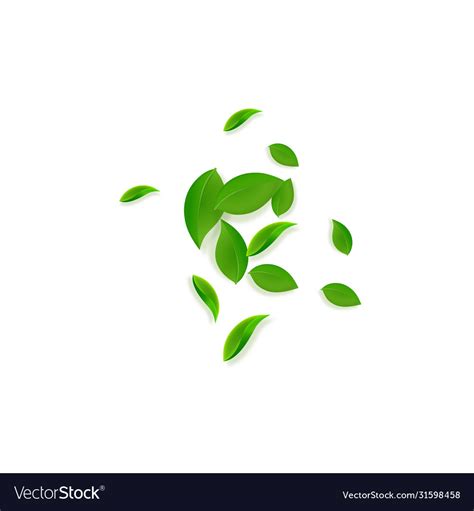 Falling Green Leaves Fresh Tea Chaotic Leaves Fly Vector Image