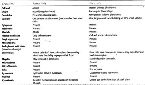 Notes Class 11 Biology Chapter 8 Cell The Unit Of Life
