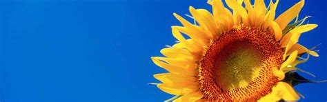 Three Sap Women In Tech Share Keys To Success Sap Southeast Asia News Center