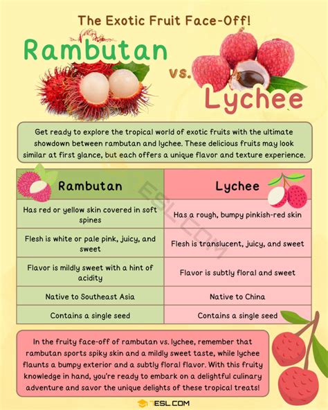 Rambutan Vs Lychee Confusing Fruit Terms • 7esl