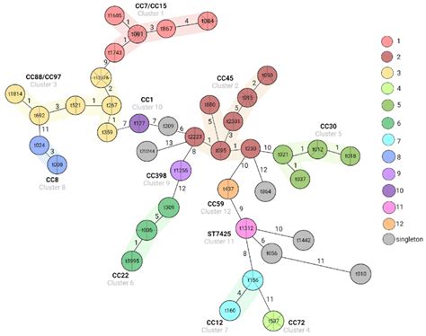 A Minimum Spanning Tree Mst Created Using Ridom Seqsphere1 Software