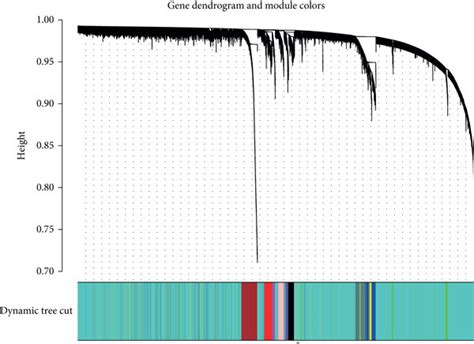 Cluster Gene Dendrogram With Dissimilarity Based On Topological Download Scientific Diagram