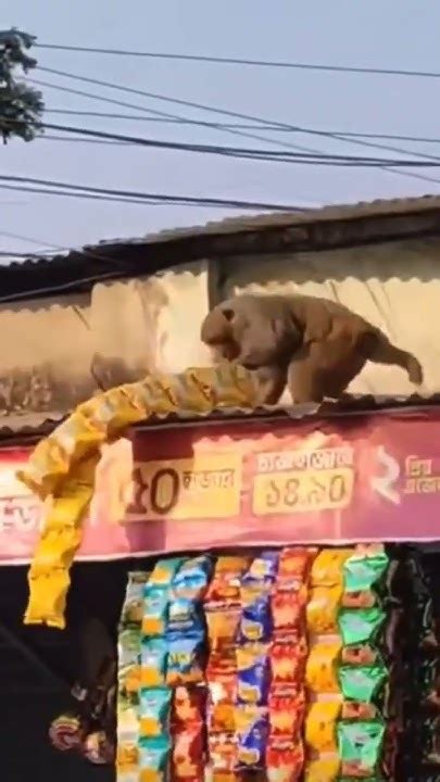 New Year New Strategy Youtube