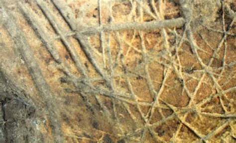 Engraved Panel On The Right Of The Sexual Figuration Enlargement Of Download Scientific