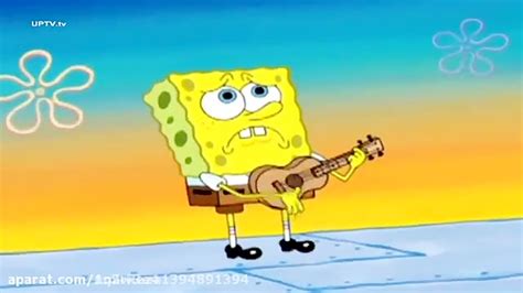 شعر باب اسفنجی