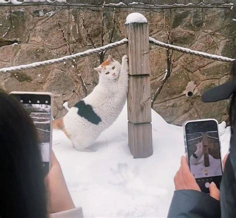 블라인드 블라블라 19 후방 주의