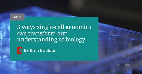 5 Ways Single Cell Genomics Can Transform Our Understanding Of Biology Earlham Institute