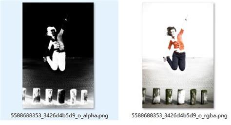 General Issue Matting 使用ppm 100数据集训练，训练后的模型预测效果怎么会是这样的？ · Issue 2493 · Paddlepaddlepaddleseg