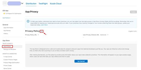 Top Reasons Why Your App Might Be Rejected On Apple Store Solutions Guide
