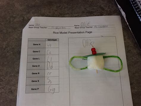 Rice Models Innovate Manhattan Science Site