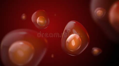 Human Cell Or Embryonic Stem Cell Stock Illustration Illustration Of
