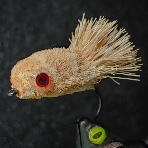 Atli Már Erlingsson 012 Fos