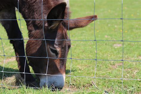 Alex Newbold Photography