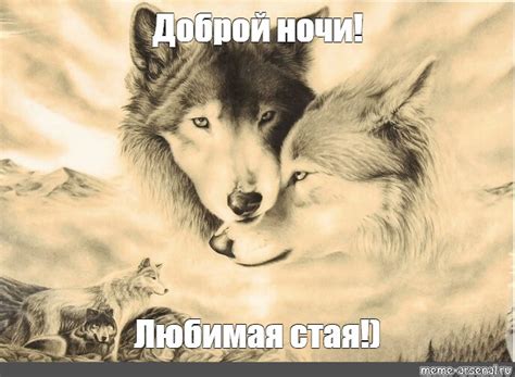 Meme Доброй ночи Любимая стая All Templates Meme