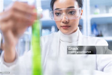 과학 실험실에서 유기농 자연 허브 식물과 의학 화학 연구 유리 제품에 화장품 추출물 액체 화학 오일 미용 의료 케어 혈청 제품 실험의 잎 생물학 과학자에 대한 스톡 사진 및