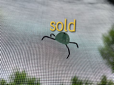 Screen Bugs BASIC Screen Savers Screen Window Decor Etsy