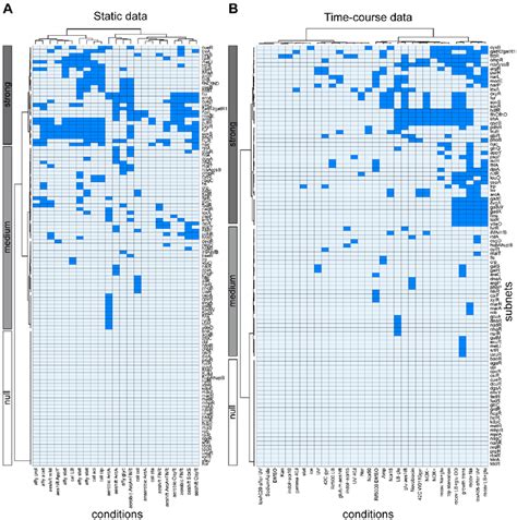 subnet usage matrices the subnet usage matrix consists of subnets download scientific diagram