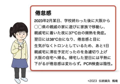 治療日誌倦怠感 3 伝統鍼灸 楓庵